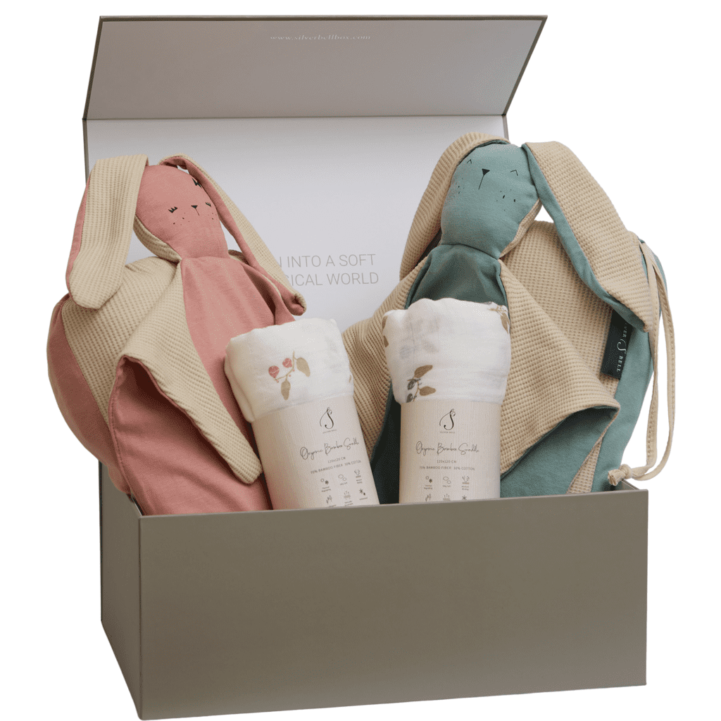 SOFT TWINS - silver bell